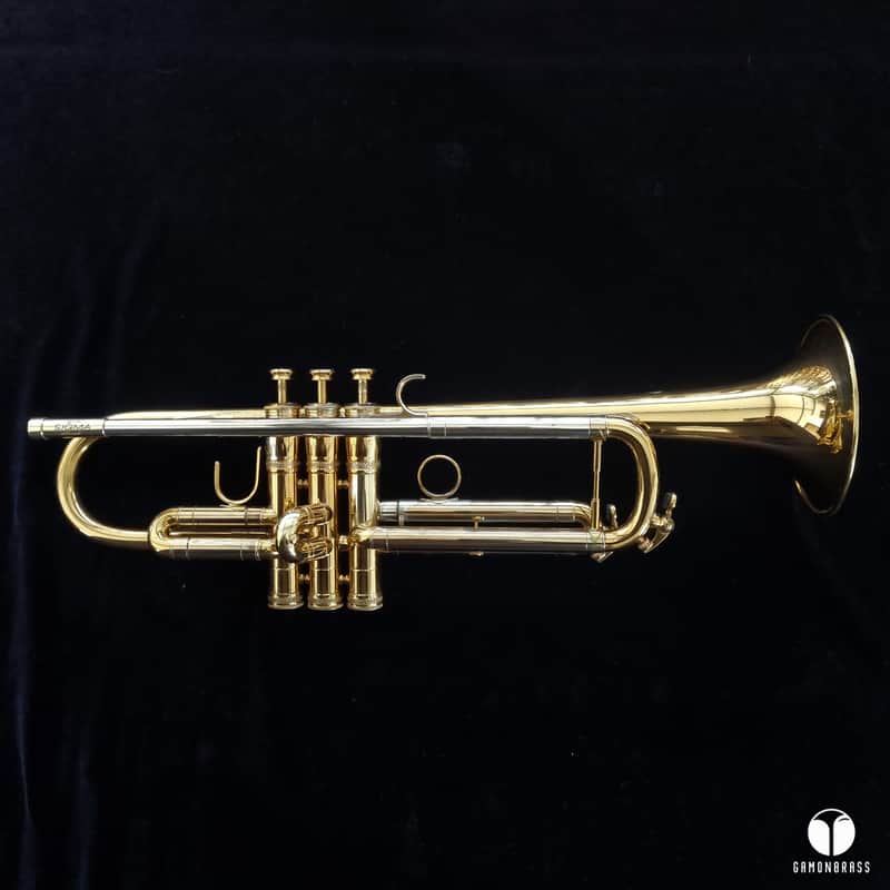 Rare version of Henri Selmer Paris SIGMA trumpet case | Reverb