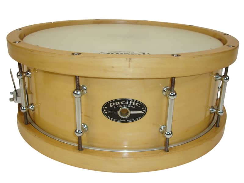 Pacific All Maple Shell 14x5.5 Snare Drum, Natural | Reverb