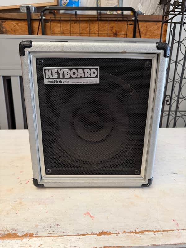 Roland Cube CK-40 - Silver | Reverb