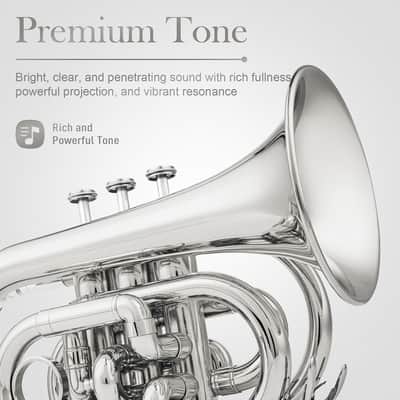 Pocket Trumpet for Beginners Students - Nickel Plated Bb Flat | Reverb