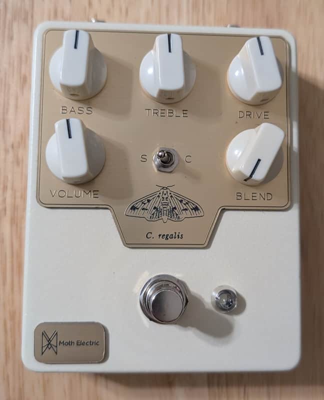 Moth Electric C. regalis Overdrive | Reverb