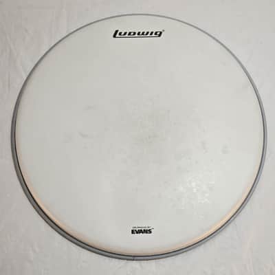Evans 13" Coated Drum Head w/ Ludwig Logo | Reverb