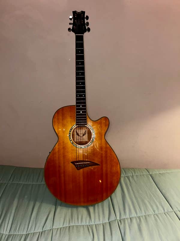 Dean Acoustic - Performer E GN | Reverb