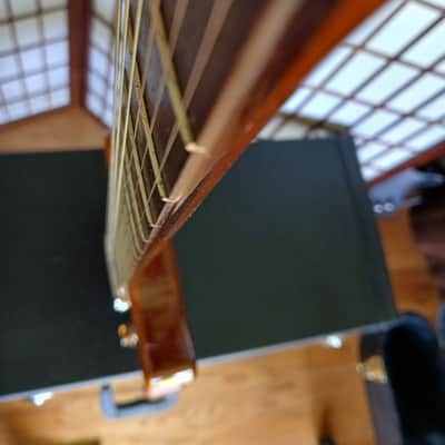 Hamer Special GSPS-FM 1993 - Transparent Amber SUPER Flamed | Reverb