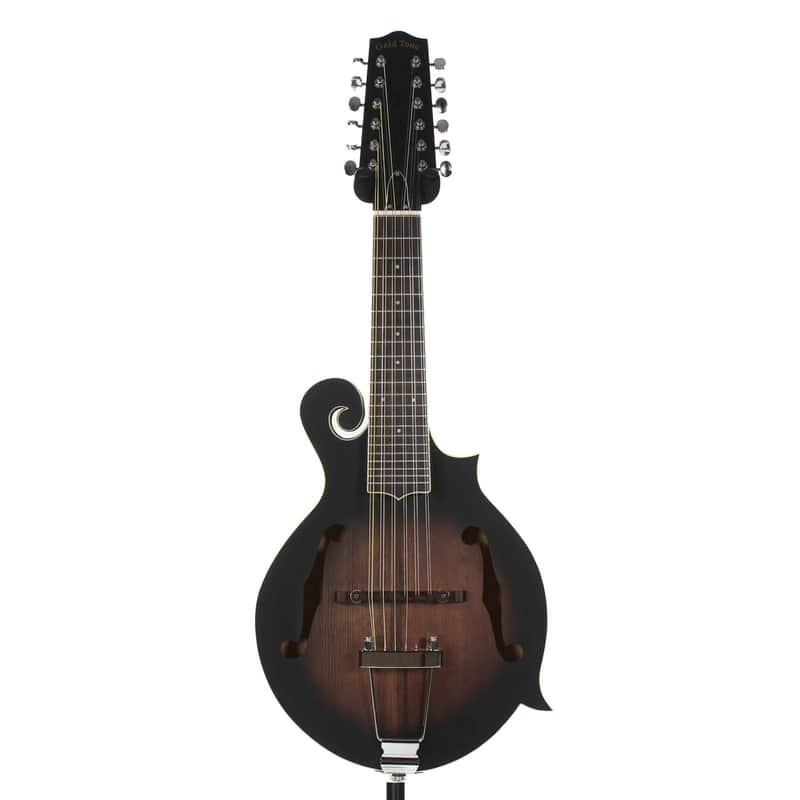 Used Gold Tone F-12 12 String F Style Mandolin | Reverb