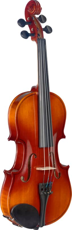 Stagg 1/2 maple violin w/ soft case, New, | Reverb