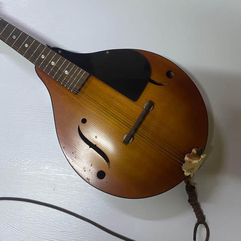 1950S STRADOLIN ARCHTOP A-STYLE MANDOLIN | Reverb Australia