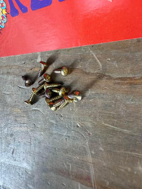 Real Life Relics Gold Pickguard Screws Small (Pack Of 13) | Reverb