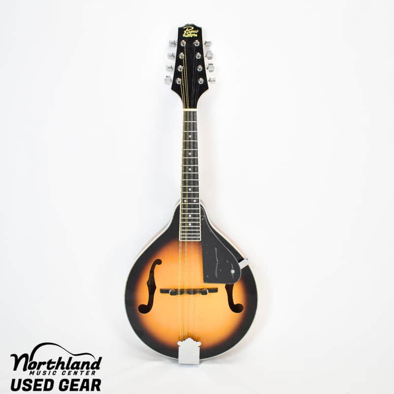 Rogue RM-100A A-Style Mandolin w/Bag - USED | Reverb