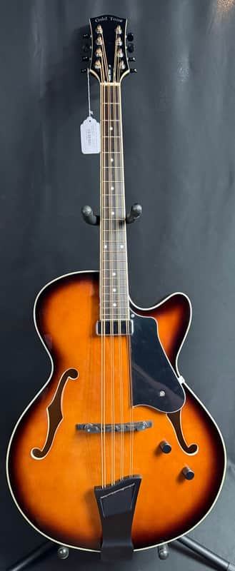 Gold Tone Mandocello 8-String Acoustic-Electric Vintage | Reverb
