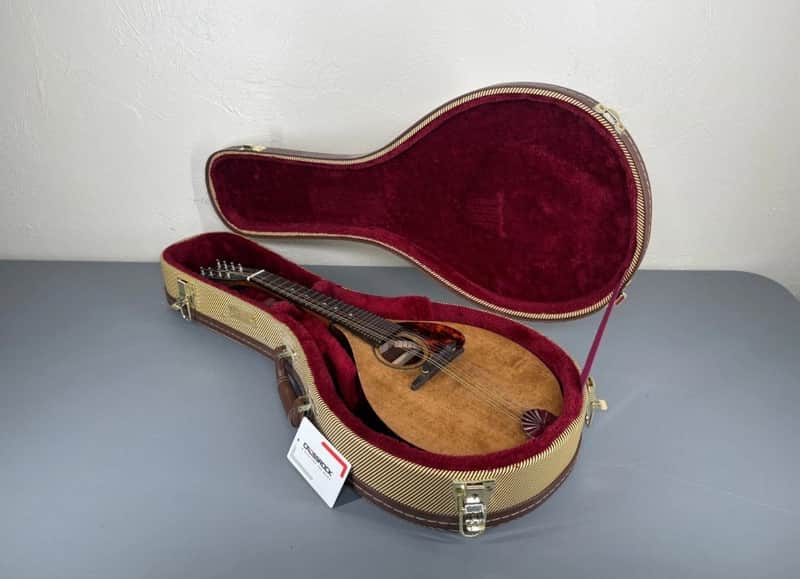 Handcrafted Mandolin with Distinctive Wooden Body and | Reverb