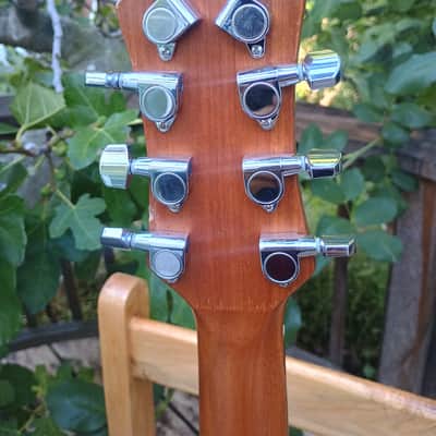 8-string Plectrum Tenor/Octave Mandolin Converted Luna Travel | Reverb
