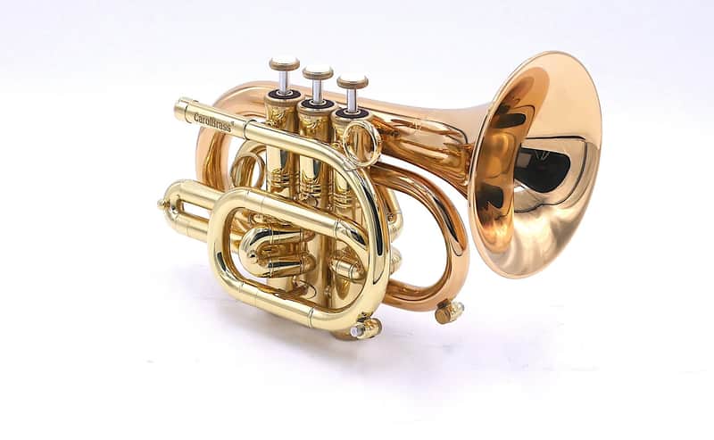 New and in Stock! Carolbrass CPT-3000-GLS-Bb-L Pocket Trumpet | Reverb