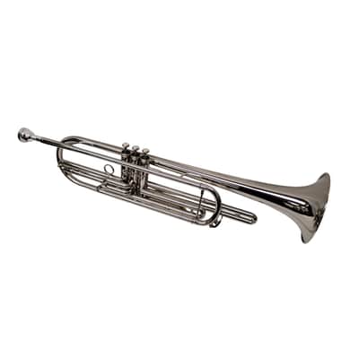 Schiller American Heritage Bass Trumpet - Nickel Plated | Reverb