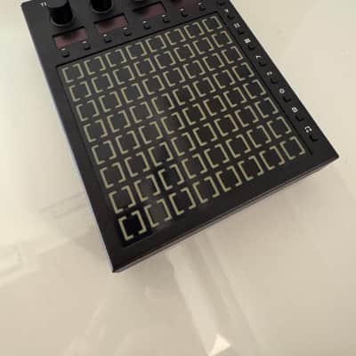 Beetlecrab Tempera Granular Synthesizer | Reverb