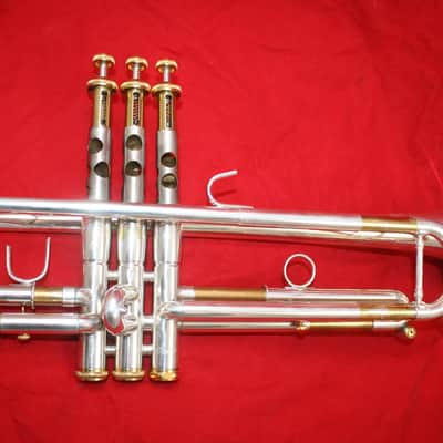 Stomvi V-Raptor Bb trumpet 2001 Silver | Reverb