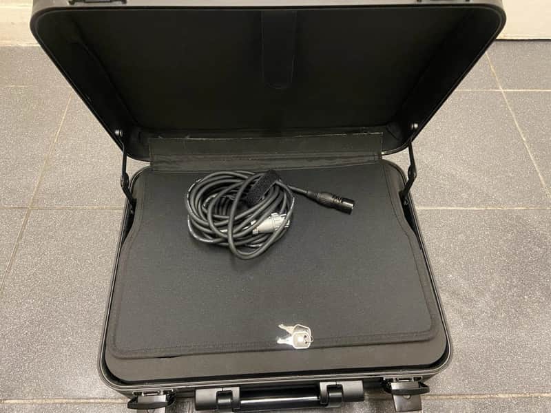 Golden Age Premier Audio GA-8000 Condenser Microphone with | Reverb