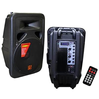 Mr. Dj PP3000BT 15-Inch 2500-Watt Max Power Speaker with | Reverb