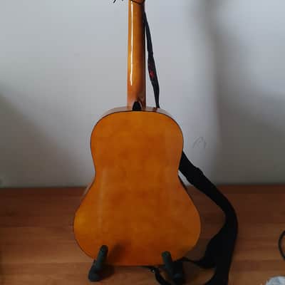 Eleca DAG-IN-36 6 String 36" 3/4 Size Acoustic Guitar with | Reverb