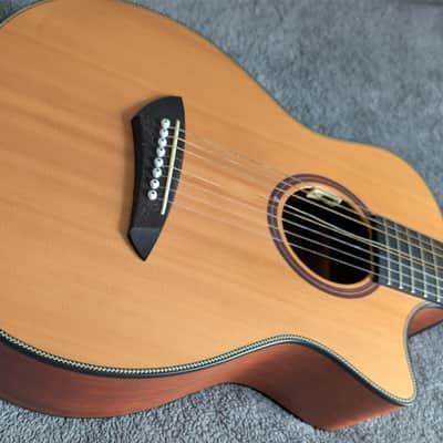 Agile Renaissance 827 8-String Acoustic Guitar | Reverb