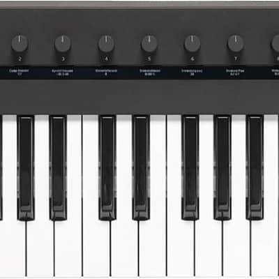 Korg Keystage 2 2025 - Grey with wood end cheeks | Reverb