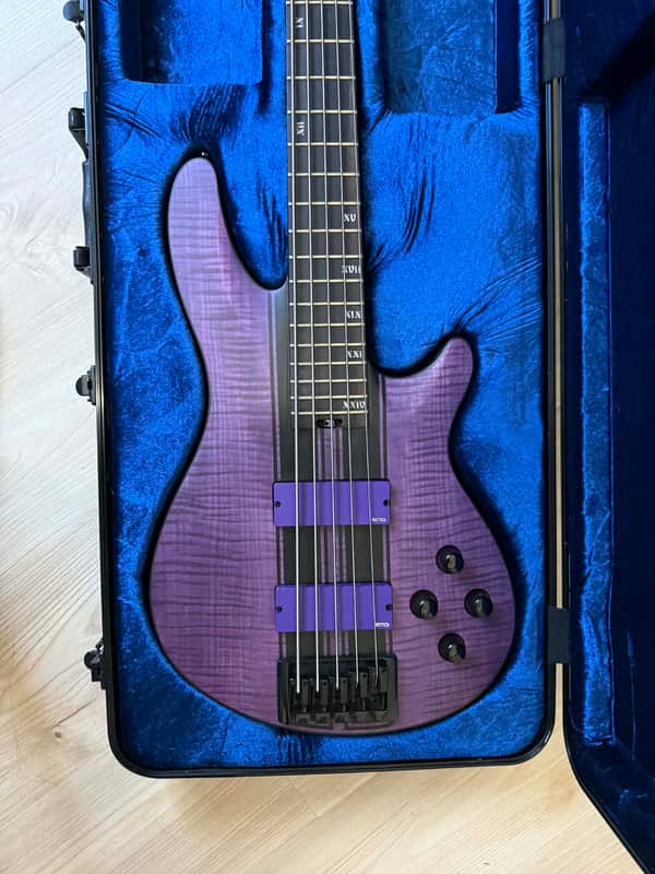 Schecter C-5 GT 2022 - Present - Satin Trans Purple | Reverb