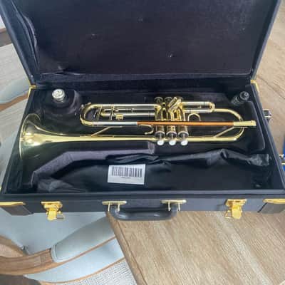 F. Schmidt H301L trumpet w/ case, 2023-24 - Brass | Reverb