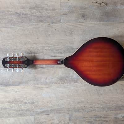 Fender FM52E Sunburst Acoustic/Electric Mandolin | Reverb