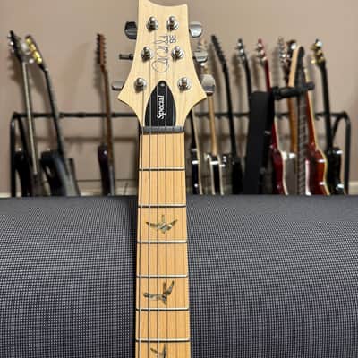 PRS PRS SE Swamp Ash Special Electric Guitar - Iris Blue | Reverb