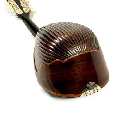 Stridente Neapolitan Mandolin Decorated Curved Ribs 1900's | Reverb