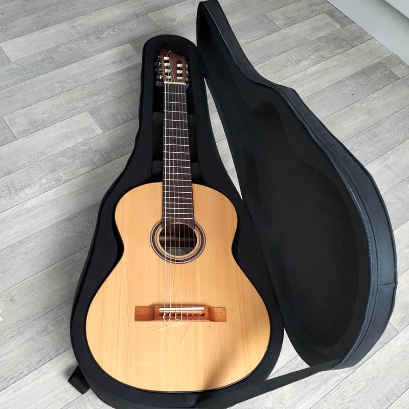 BUNDLE: APC 7 strings handmade acoustic guitar 2018-2020 - | Reverb