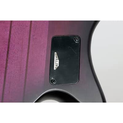 Schecter Guitar Research Limited-Edition Stiletto Studio-5 | Reverb