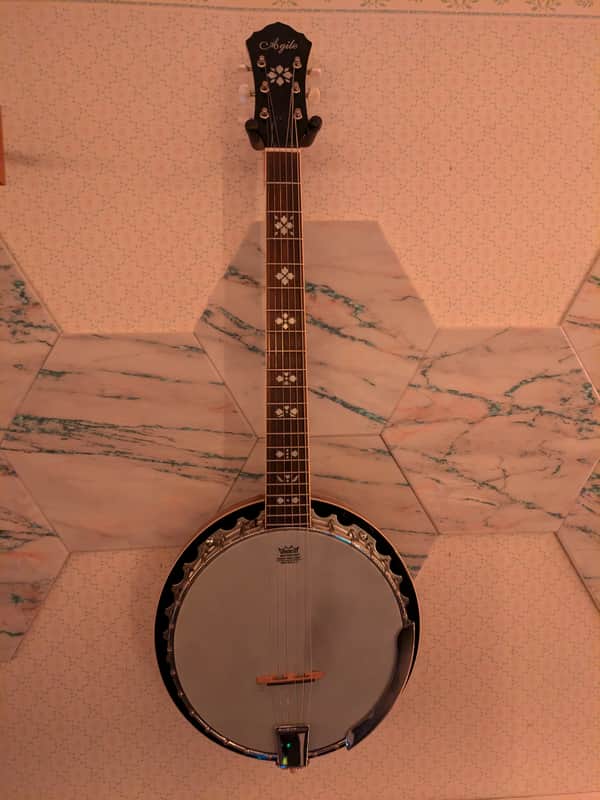 Agile Left handed 6 string Banjo 2016 - Natural | Reverb