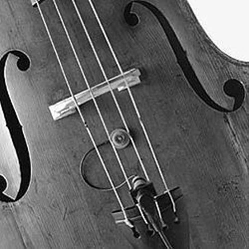 Schertler DYN-B P48 Double Bass Contact Mic | Reverb Australia