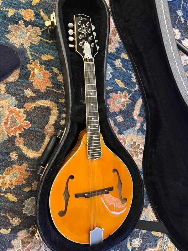 Pava A5 Pro - Amber | Reverb