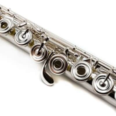 Haynes Amadeus AF482-CO Open Hole Student Model Flute | Reverb