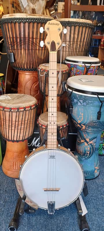 Ashbury AB-25-T 4 String Tenor Banjo - Maple | Reverb