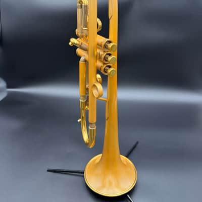 Taylor UK Chicago Std 46II | Gold Lacquer w/ Gold Plate Trim | Reverb