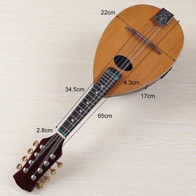 Custom 8 String Mandolin 26 Inch, Laminated Spruce Top Body, | Reverb