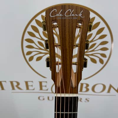 Cole Clark Recording Series Split Headstock Grand Auditorium | Reverb
