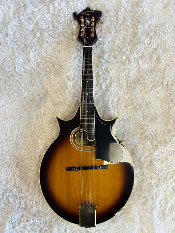 Sigma SM-3S Mandolin w/ Original Hardshell Case | Reverb