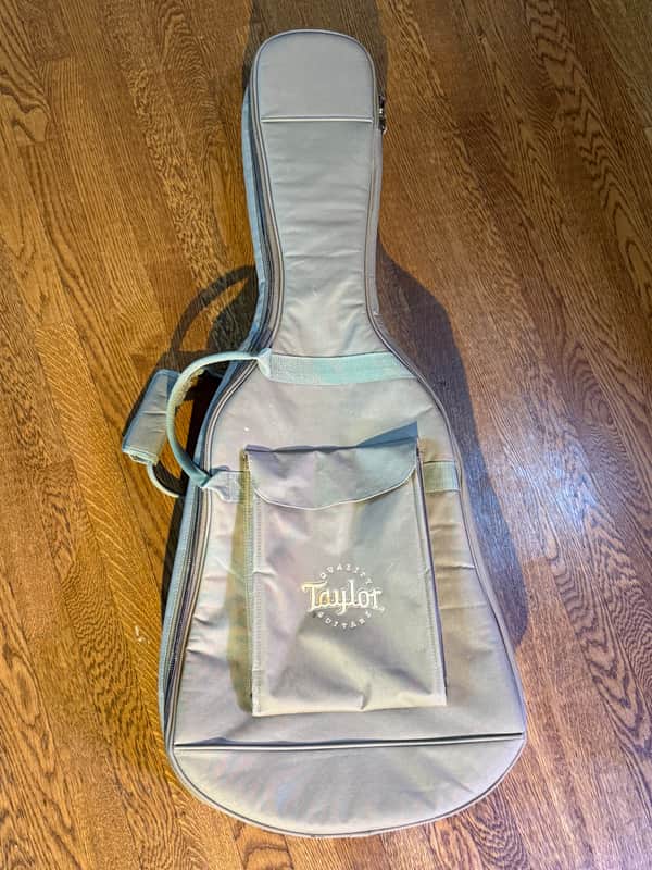 Vintage Taylor Acoustic Gigbag | Reverb