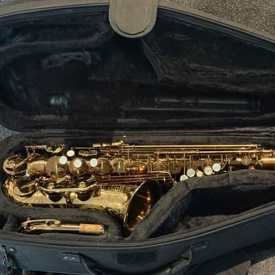 Viking M60 Valkyrie Legend Series Alto Saxophone - Recently | Reverb