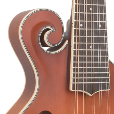 Gold Tone F-10: 10-String F-Style Mandolin with Pickup and | Reverb