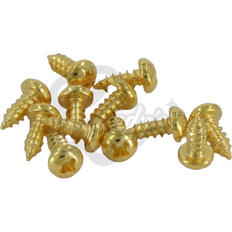 Advanced Plating 1824G-12 Truss Rod Cover Mounting Screws | Reverb