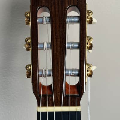 SAERS M900 Cocobolo 2025 - French polish | Reverb