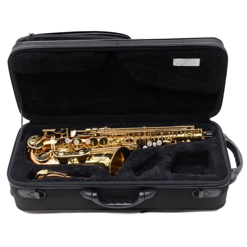 Selmer Model SAS511C Intermediate Alto Saxophone in Copper | Reverb
