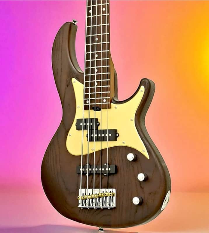 Aria Pro II 313-BB/5 5-String Electric Bass Guitar â€“ | Reverb