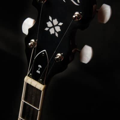 Washburn B9 Americana Series (5 String) Banjo - Sunburst | Reverb
