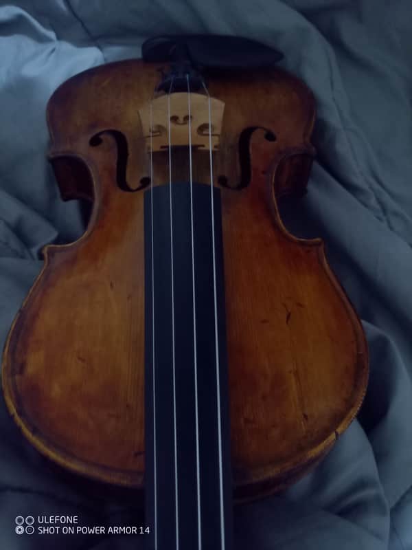 Italian viola 16" Alto italien | Reverb